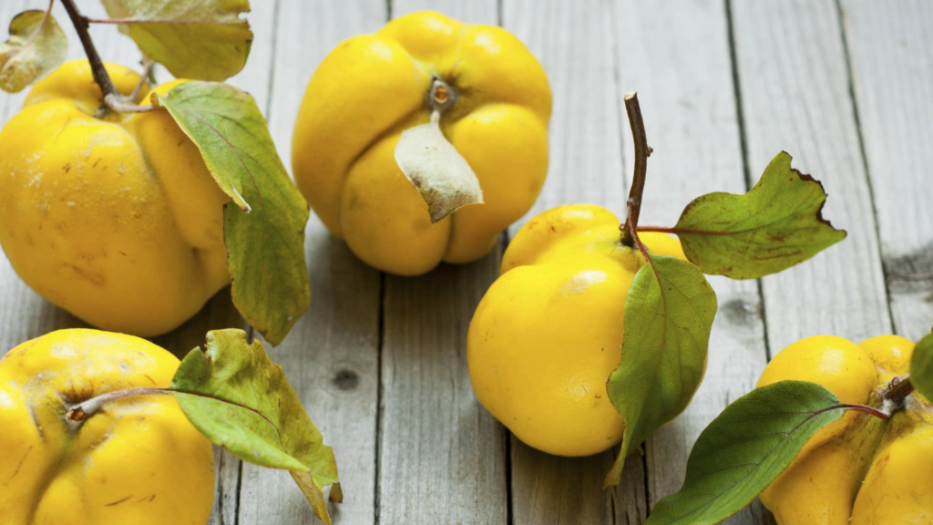 What is One Quince fruit